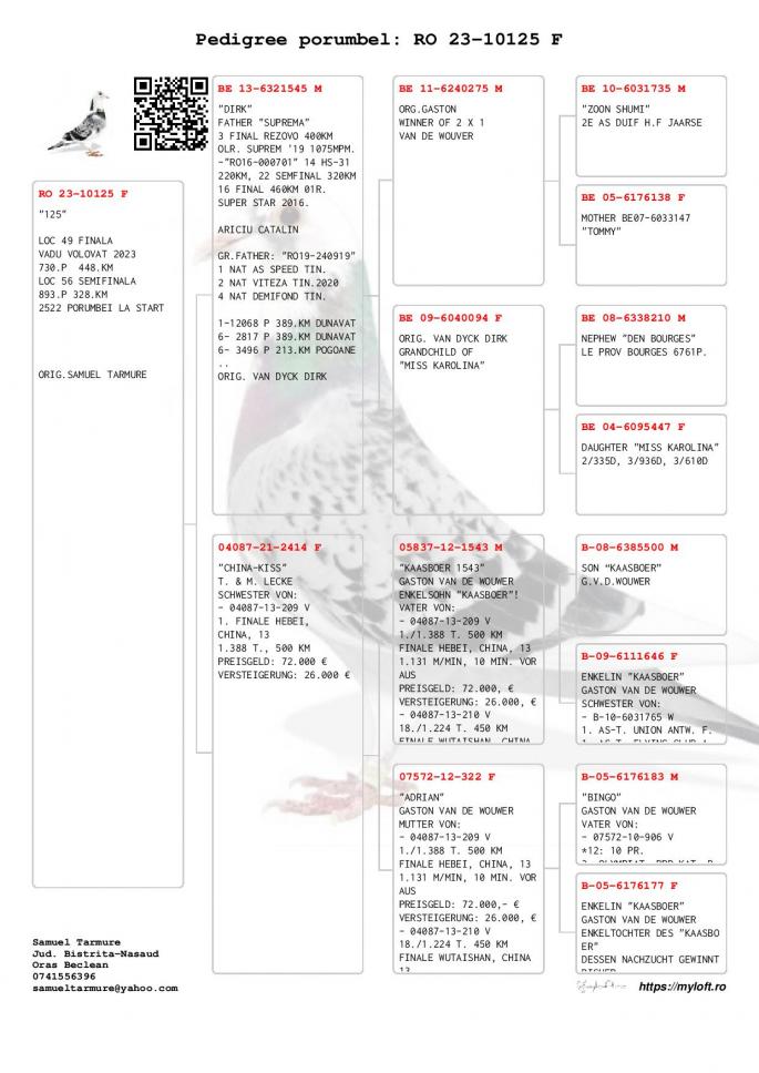 Columbofil.net - Licitatii porumbei