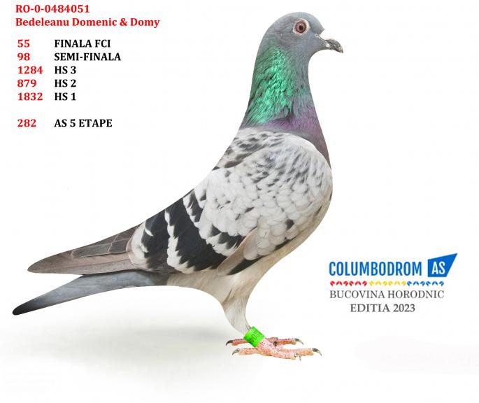 Columbofil.net - Licitatii porumbei