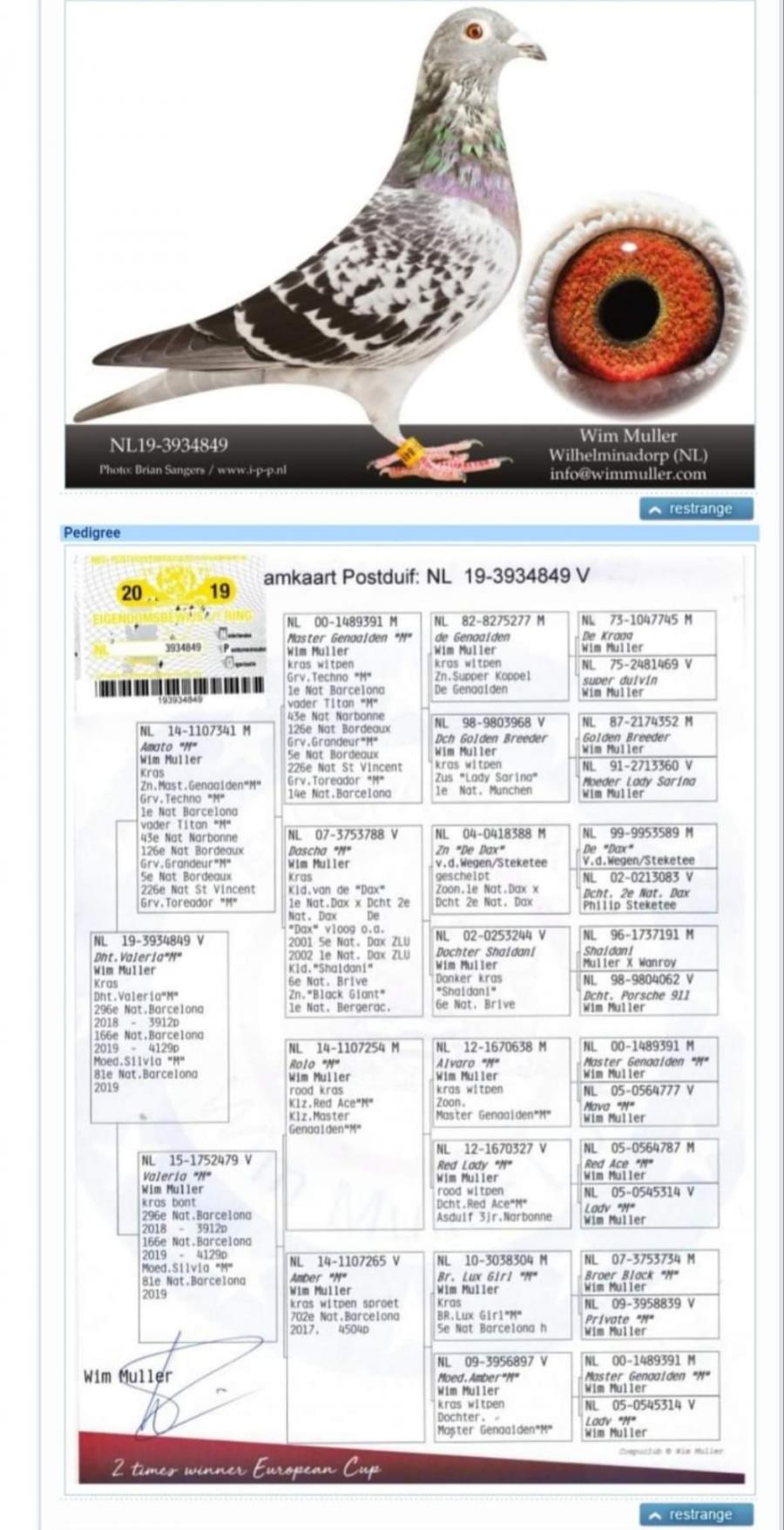 Columbofil.net - Licitatii porumbei