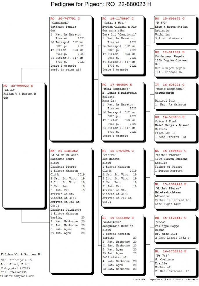 Columbofil.net - Licitatii porumbei