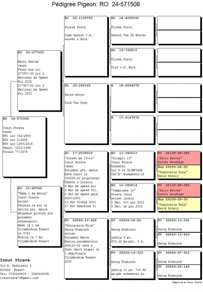 Columbofil.net - Licitatii porumbei