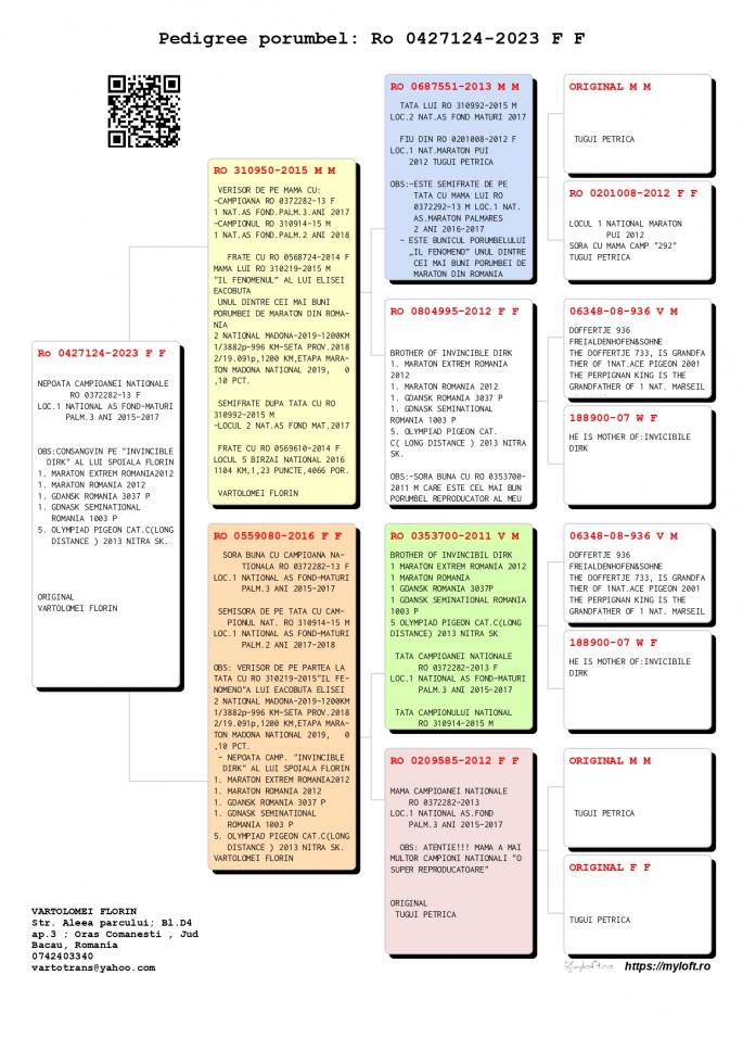 Columbofil.net - Licitatii porumbei