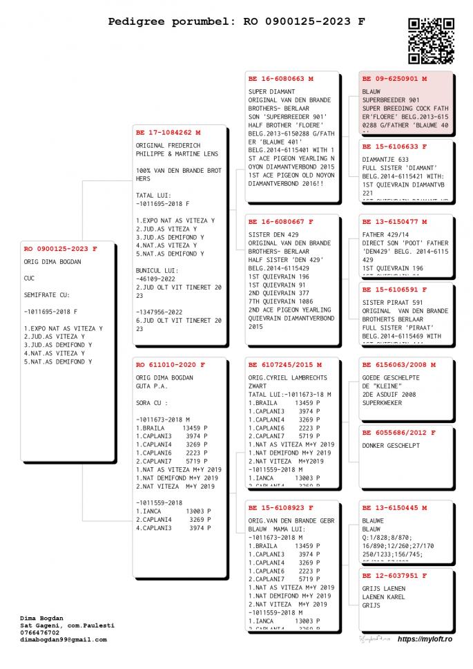 Columbofil.net - Licitatii porumbei