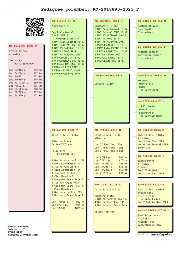 Columbofil.net - Licitatii porumbei
