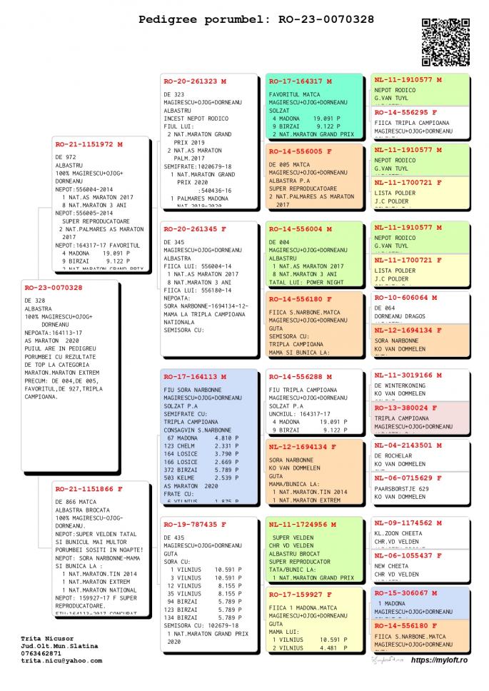 Columbofil.net - Licitatii porumbei
