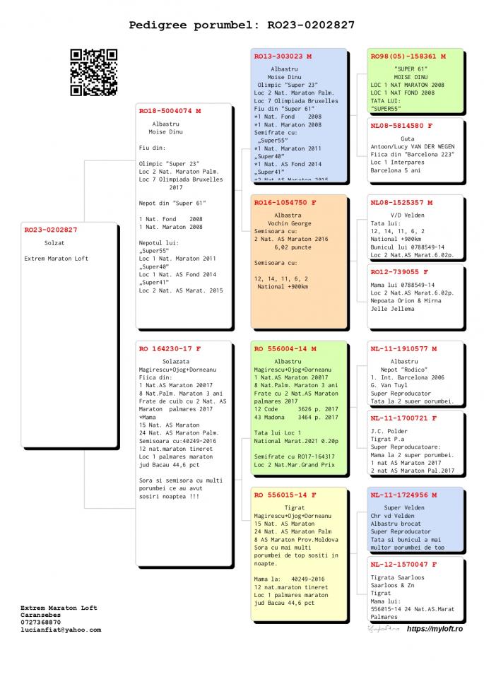 Columbofil.net - Licitatii porumbei