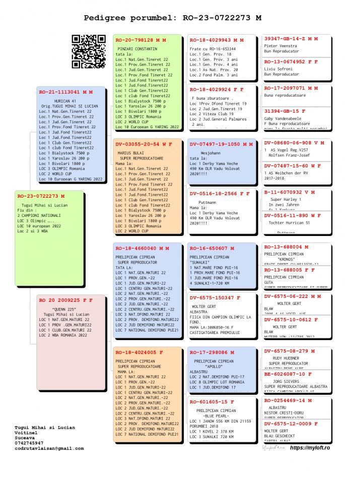 Columbofil.net - Licitatii porumbei