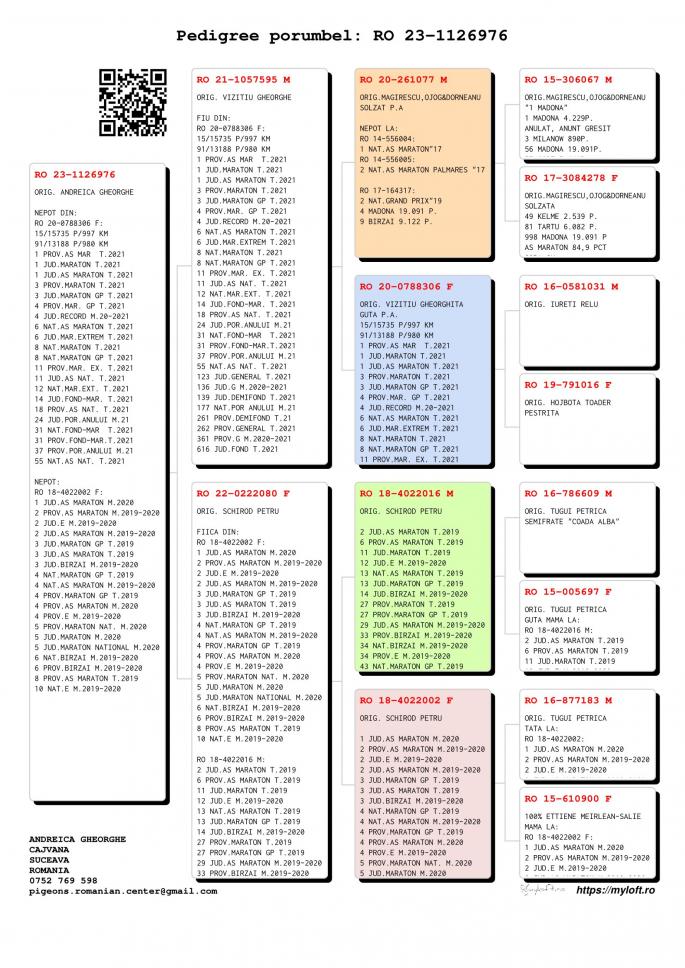 Columbofil.net - Licitatii porumbei