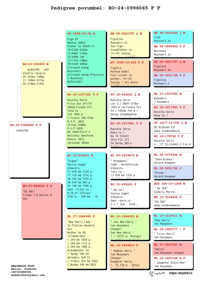 Columbofil.net - Licitatii porumbei