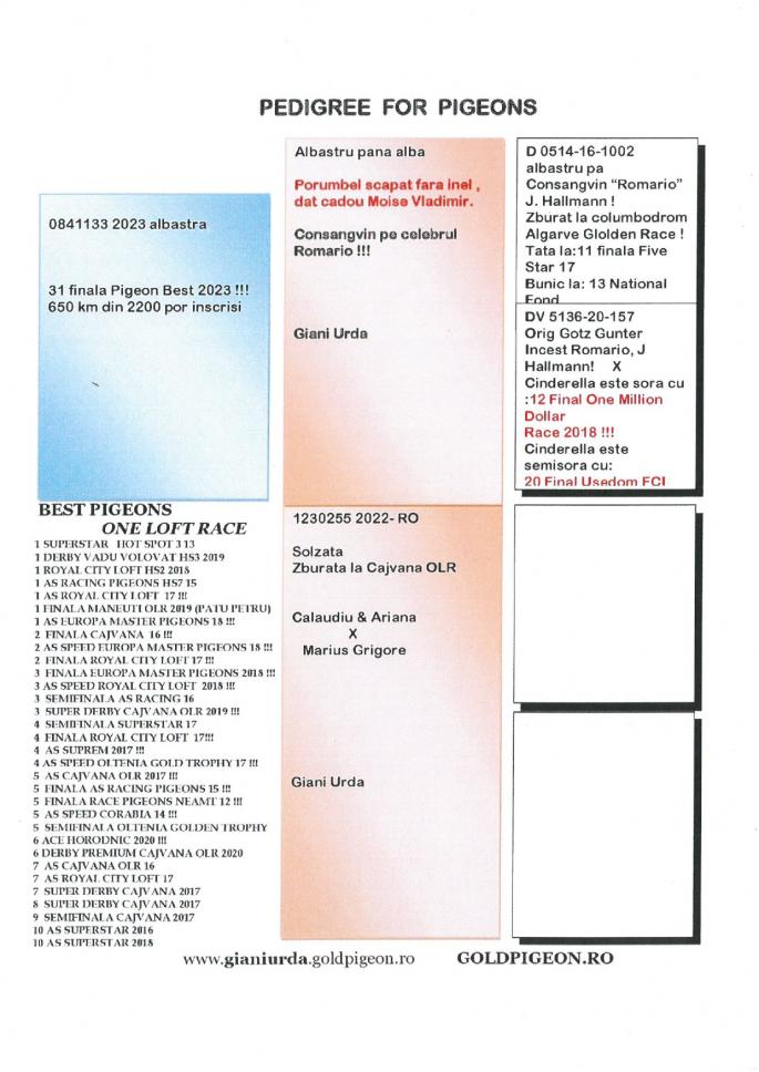 Columbofil.net - Licitatii porumbei