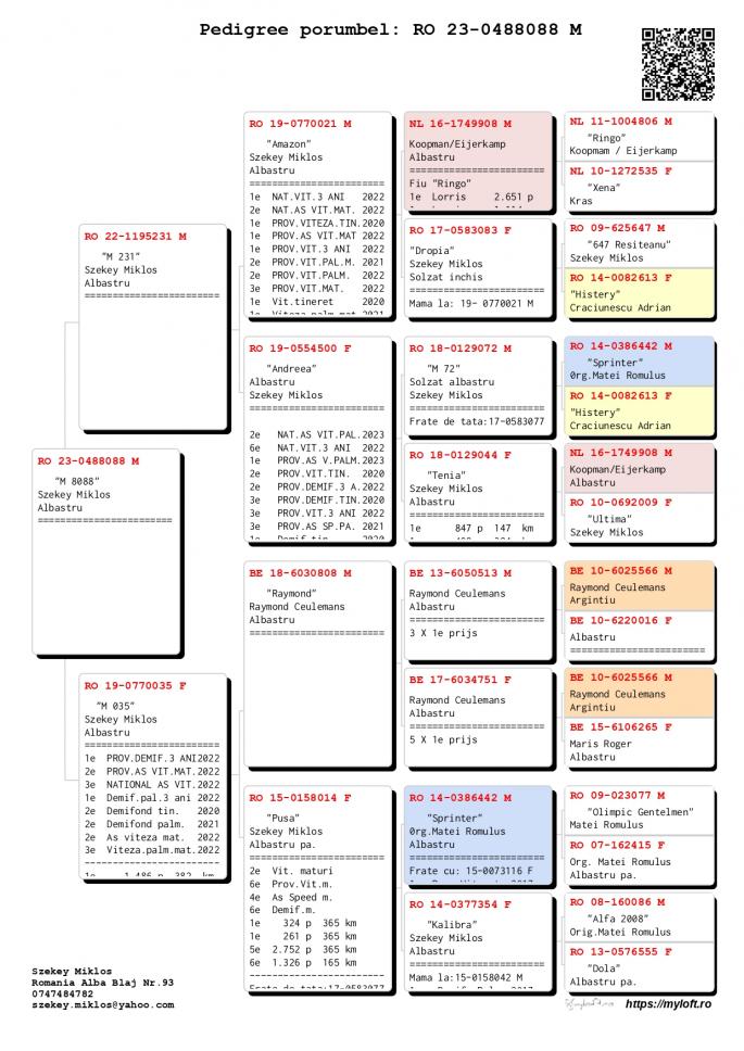 Columbofil.net - Licitatii porumbei