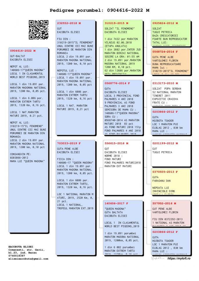 Columbofil.net - Licitatii porumbei