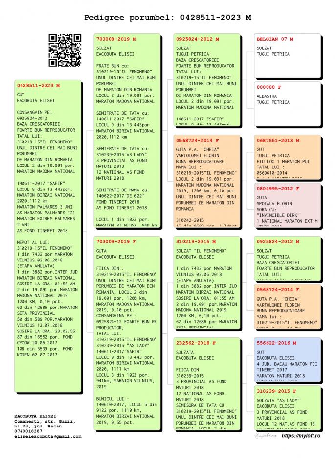 Columbofil.net - Licitatii porumbei