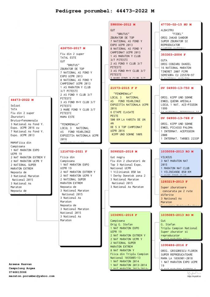 Columbofil.net - Licitatii porumbei